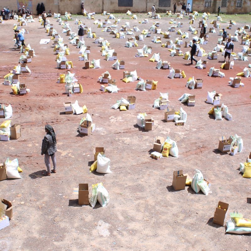 Sanid Organization for Relief and Development (SORD)