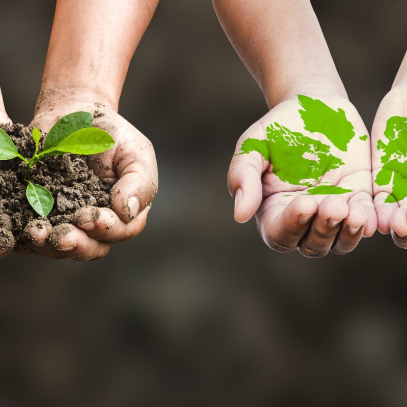 Sanid Organization for Relief and Development (SORD)